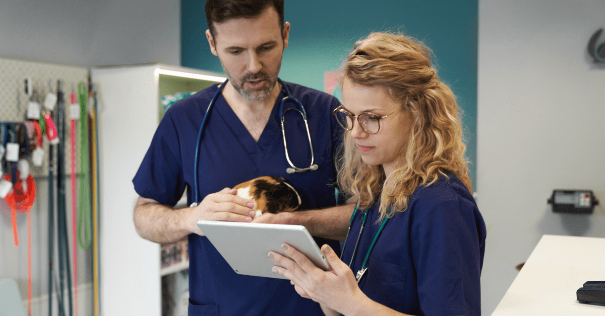 Modeus Product | Modeus